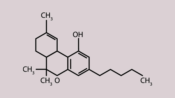 CBD vs THC: what's the difference? | SQDC